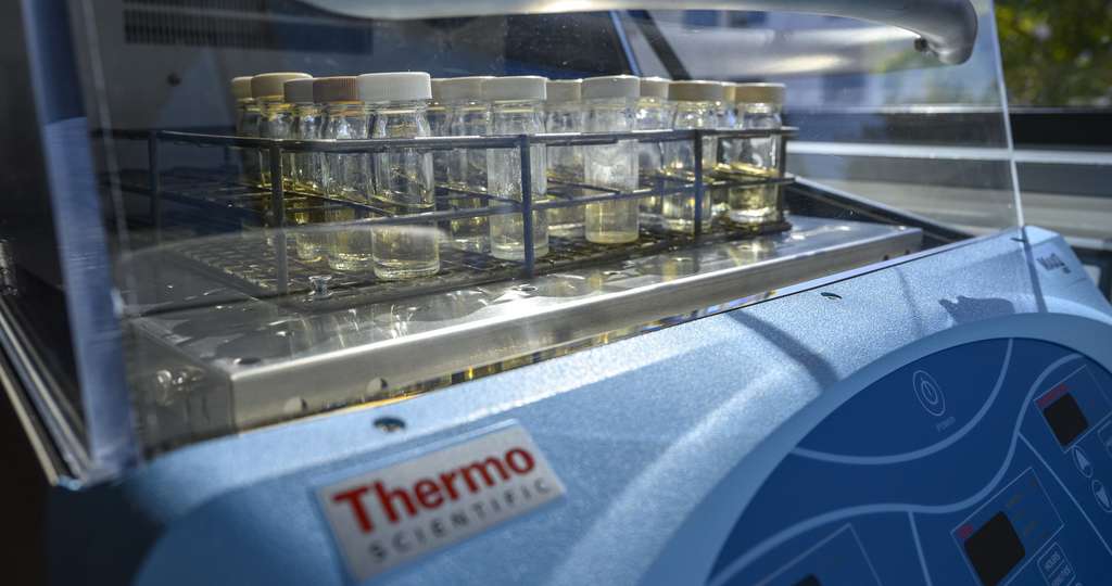 Stable Isotope Platform - Faculty of Science