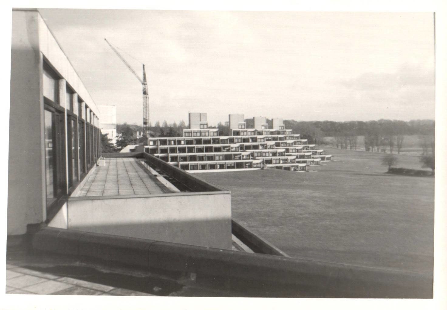 Ziggurats and the Broad