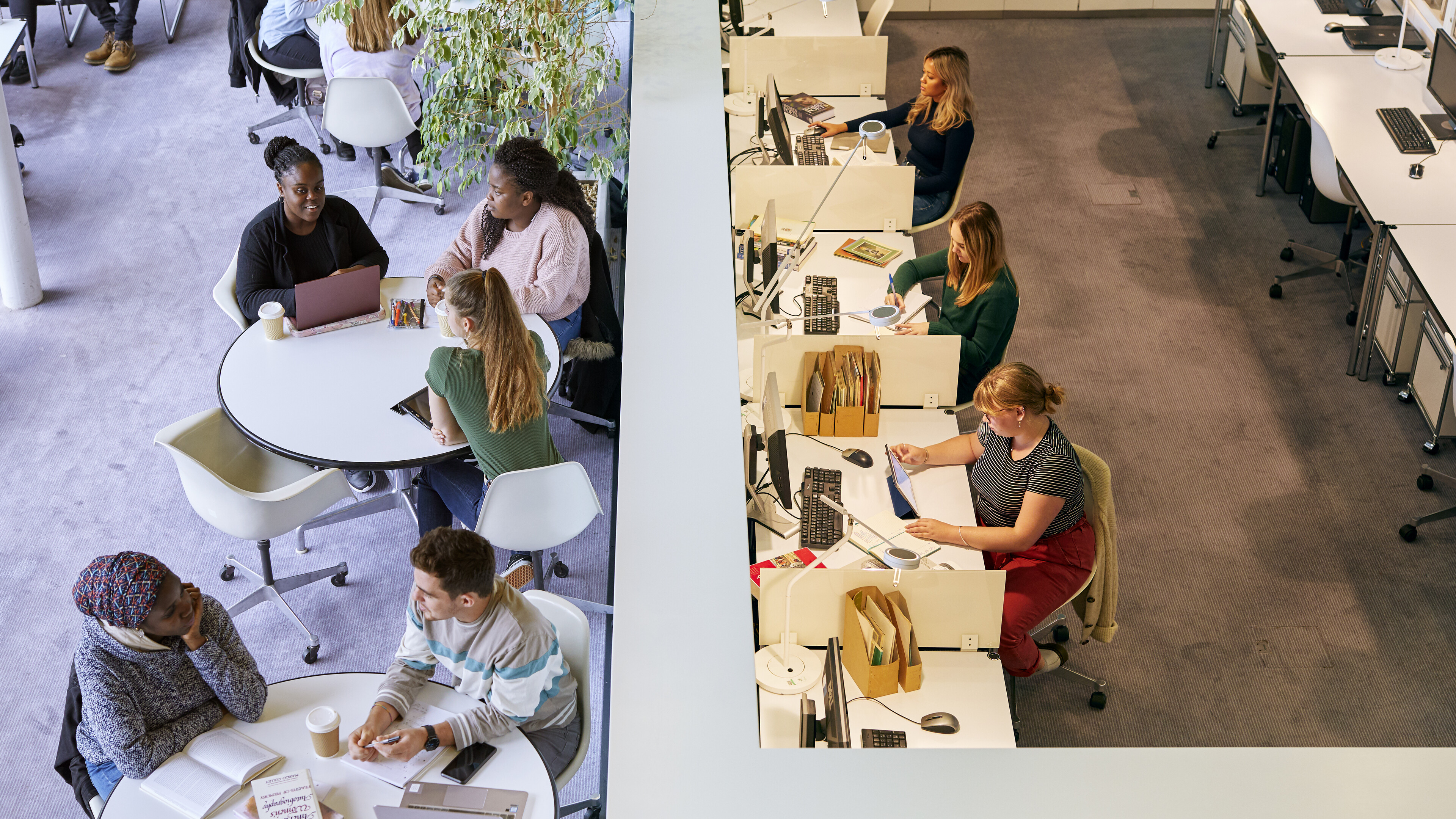 Undergraduate Offer Holder Webinars