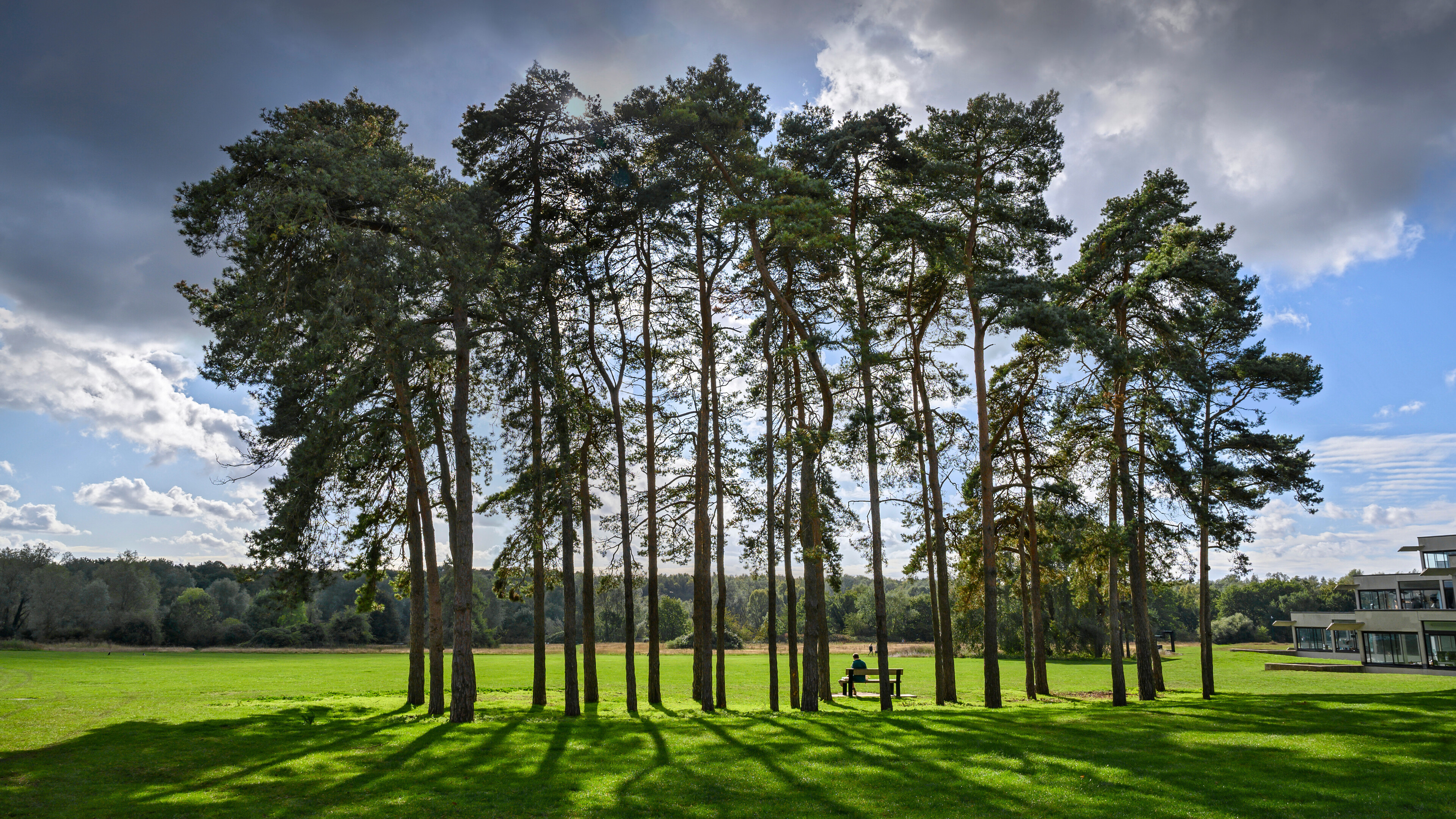 International Giving: Making a Global Impact at UEA