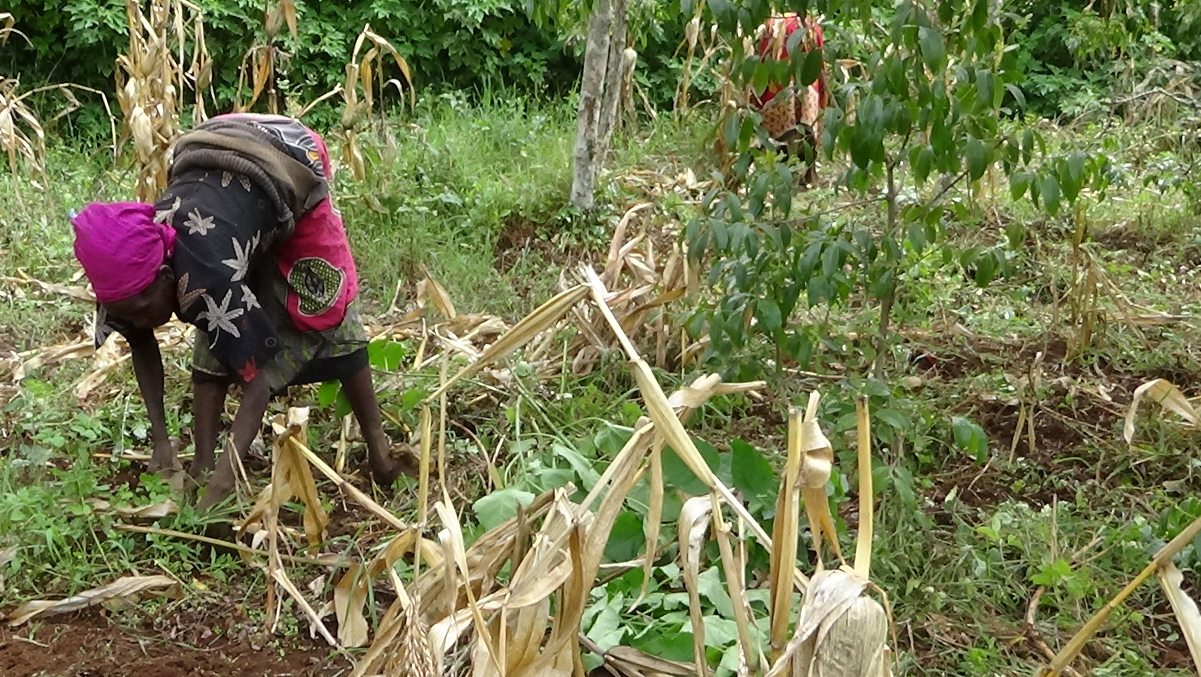 UEA Gender Dynamics in Key Issues of Development: 2025 Events