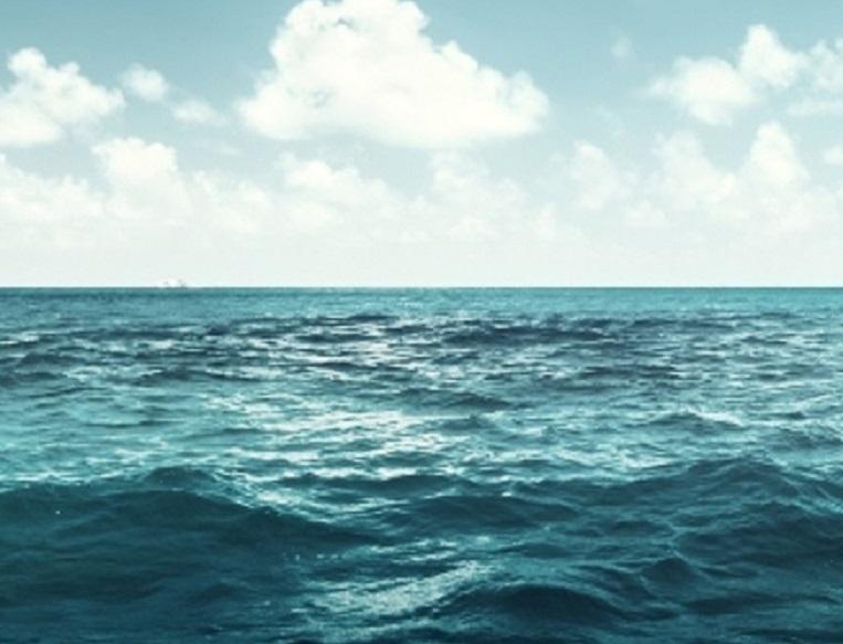 Greenocean - Dynamic Green Ocean Project