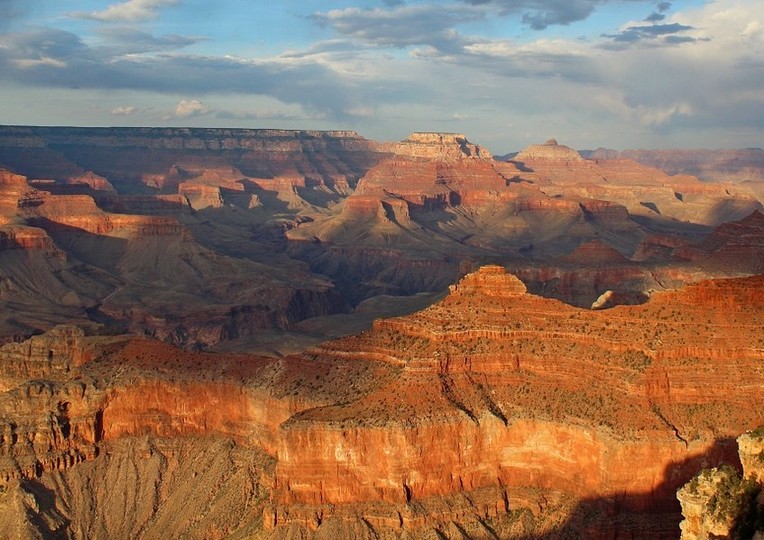 Bio Batteries - Research